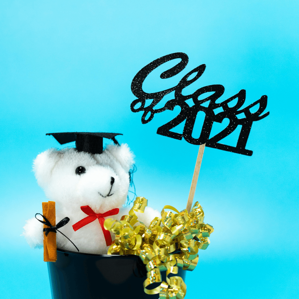 Graduation Stuffed Animals | Perfect Gifts for 2024 Graduates